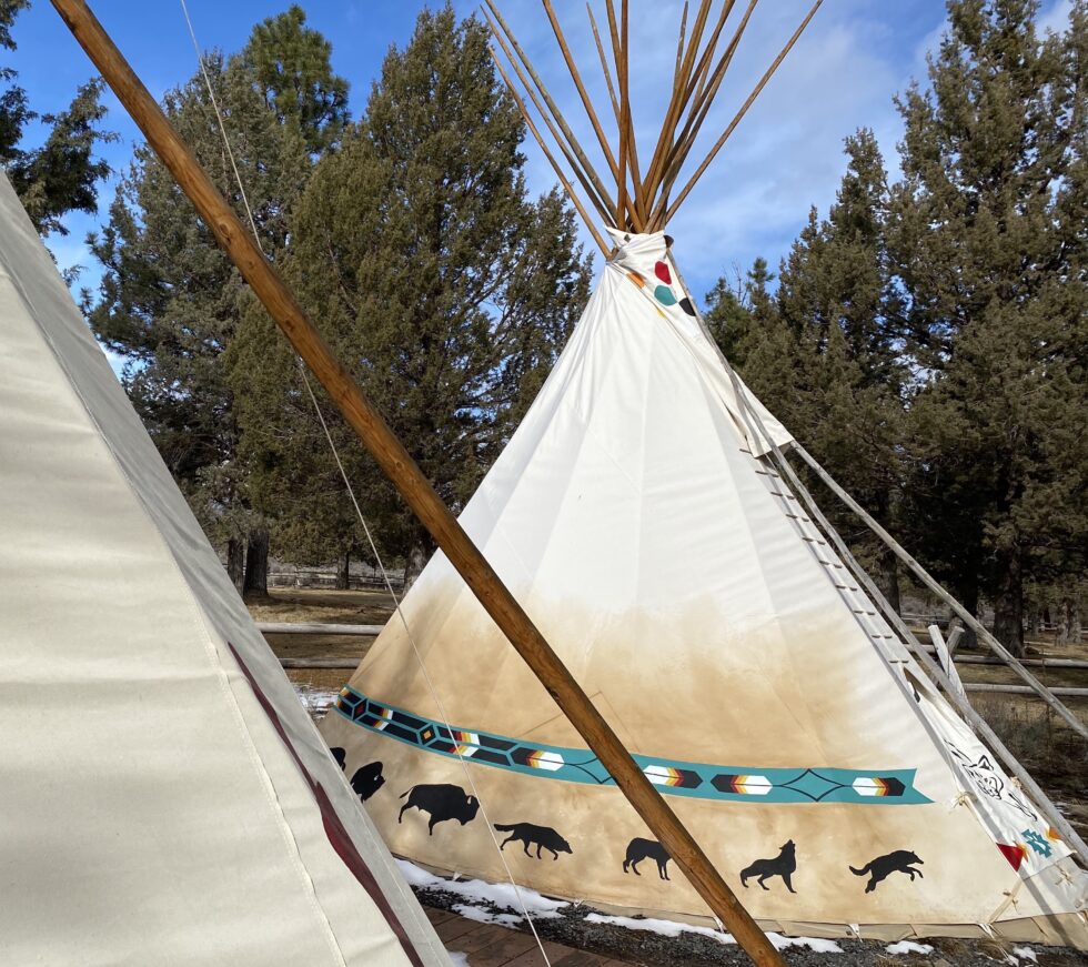 Styles, Palettes, Designs* | Nomadics Tipi Makers